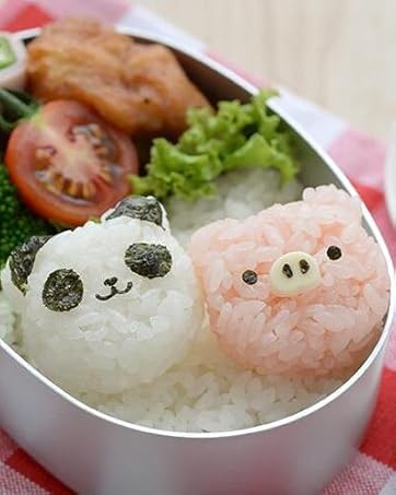 Amazon.com: Arnest Zoo Rice Ball Mold Kit for Kids with Seaweed Nori Cutter - Cute Animal Molds ...