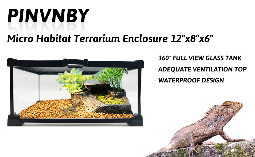 Amazon.com : PINVNBY Reptile Glass Terrarium Ball Python Tank 12"x8"x6 ...