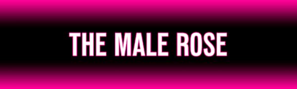 Amazon.com: The Original Male Rose 3 - Rechargeable, Thrusting ...