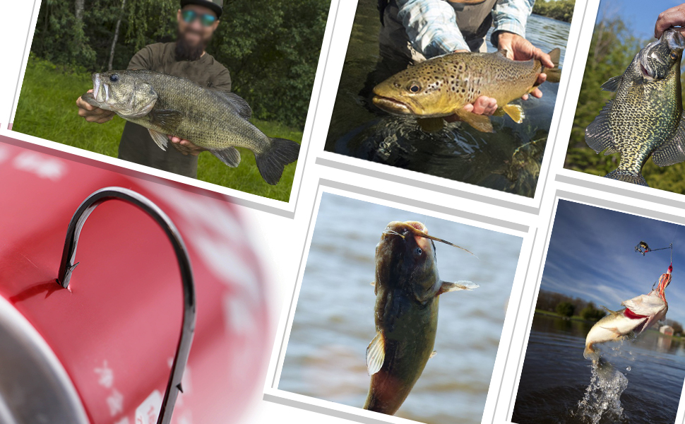 Amazon.com : Natufish Baitholder Fishing Hooks 50Pcs Bait Holder Hooks Offset/Double Barbed/Long ...