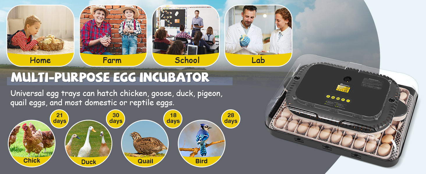 Amazon.com : Sailnovo 70 Egg Incubator for Hatching Eggs with Automatic Egg Turning and Auto ...