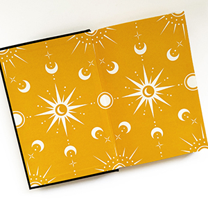 Sanctuary of the Shadow (Elemental Emergence, 1): Ascher, Aurora: 9781649374110: Amazon.com: Books