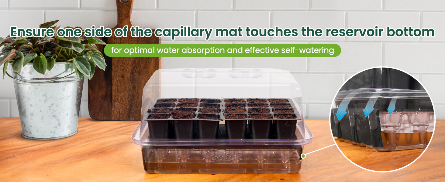 Amazon.com : SOLIGT Self Watering Seed Starter Trays with Humidity Domes, Extra Thick Plastic ...