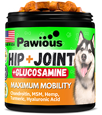 Amazon.com : Dog Multivitamin Chewable with Glucosamine 16 in 1 - Dog Vitamins and Supplements ...