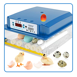Amazon.com: Vevitts 16 Eggs Incubators for Hatching Egg with Automatic Turner, Fahrenheit ...