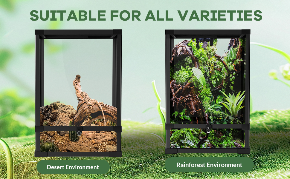 Amazon.com : GarveeHome 67 Gallon Reptile Tall Glass Terrarium, 36" x ...