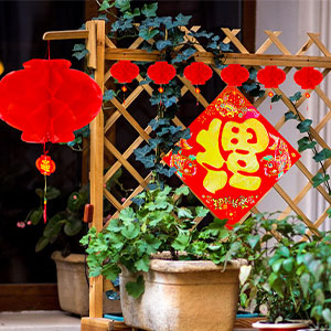 Amazon.com: 68PCS Chinese New Year Decoration, 2024 Lunar New Year ...