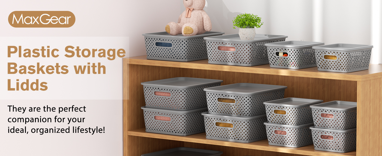 Amazon.com: MaxGear Organization & Storage, Plastic Bins with Lid ...