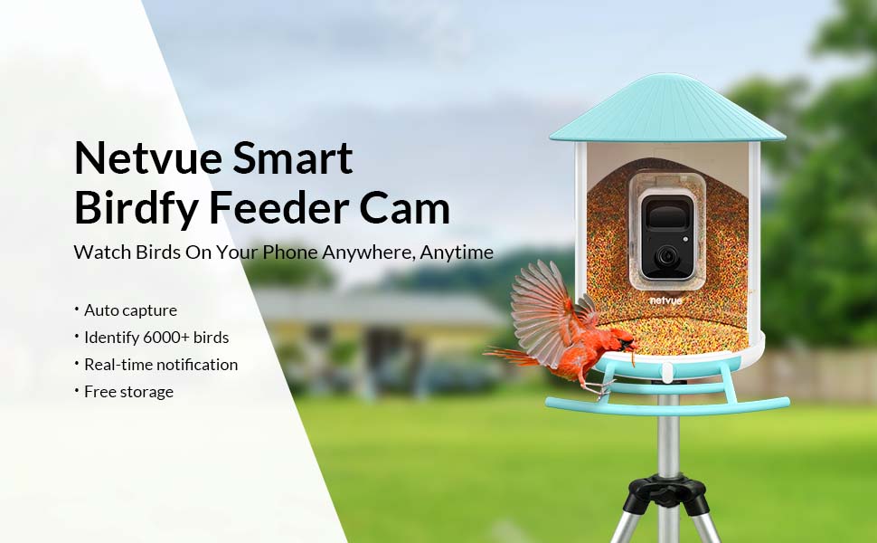 NETVUE Birdfy Lite- Smart Bird Feeder Camera, Bird Watching Camera Auto Capture Bird Videos ...