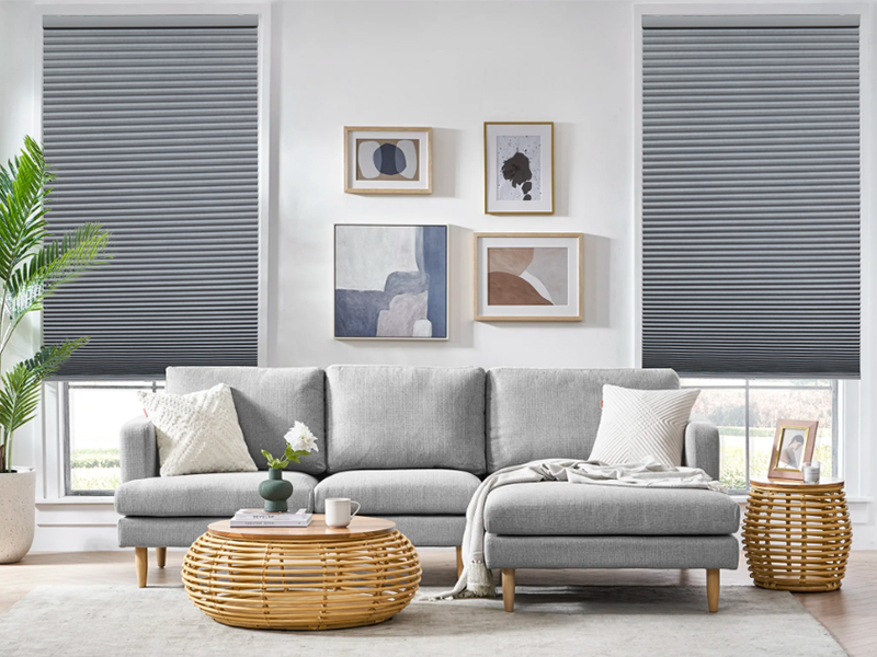 Amazon.com: Persilux Custom Blackout Cellular Shades Cordless Blinds for Windows, Thermal ...