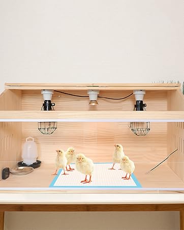 Amazon.com: Large Chicken Brooder Box for Chick, Extra Wide Wooden Brooder Box 31.5" with ...