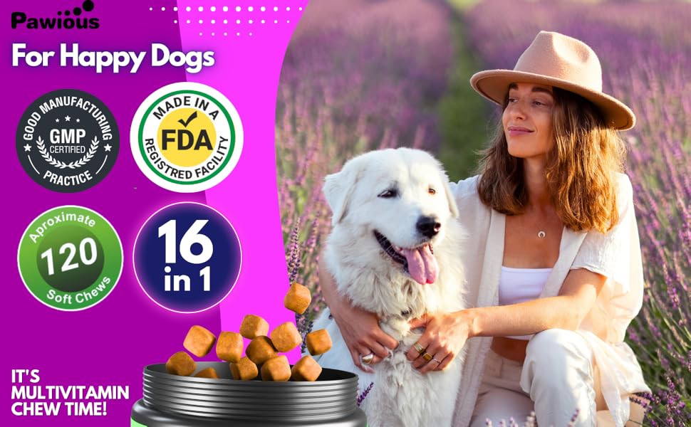 Amazon.com : Dog Multivitamin Chewable with Glucosamine 16 in 1 - Dog Vitamins and Supplements ...