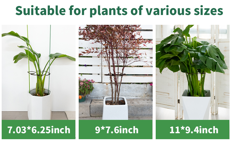 Amazon.com : Yohsnor 5PCS Black Monstera Plant Stem Support 9x7.6in - Adjustable & Durable ...