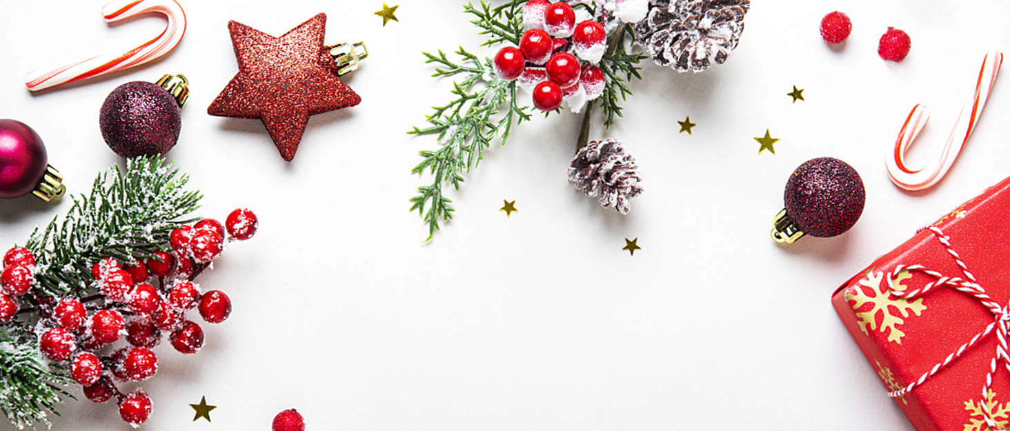 Amazon.com : SEEYANG Outdoor Propane Heater with 5FT Propane Hose 2-in-1 Camping Gas Stove ...