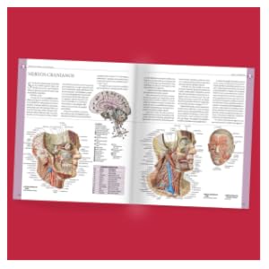 Atlas Ilustrado de Anatomia | Amazon.com.br