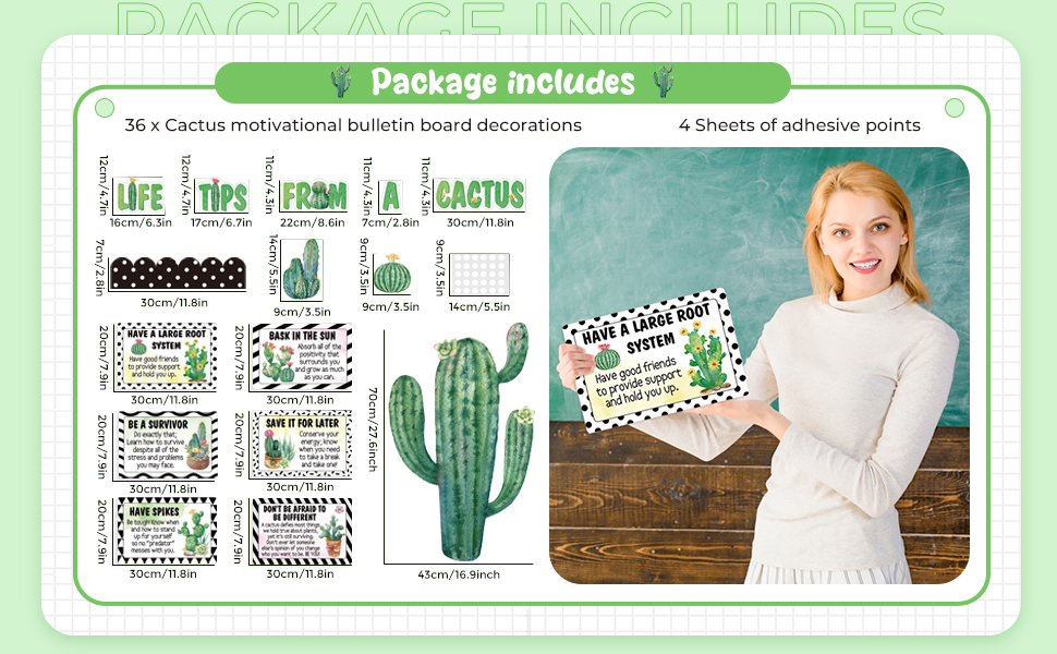Amazon.com : Pasimy 36 Pcs Cactus Bulletin Board Decorations ...