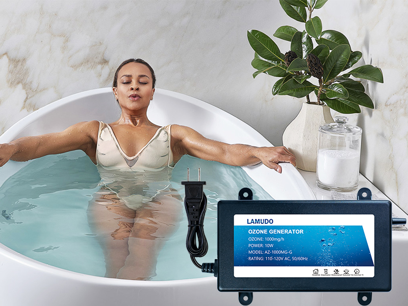 Amazon.com: LAMUDO Ozone Generator with Air Stones for Cold Plunge and Hot Tubs, 1000mg/h ...