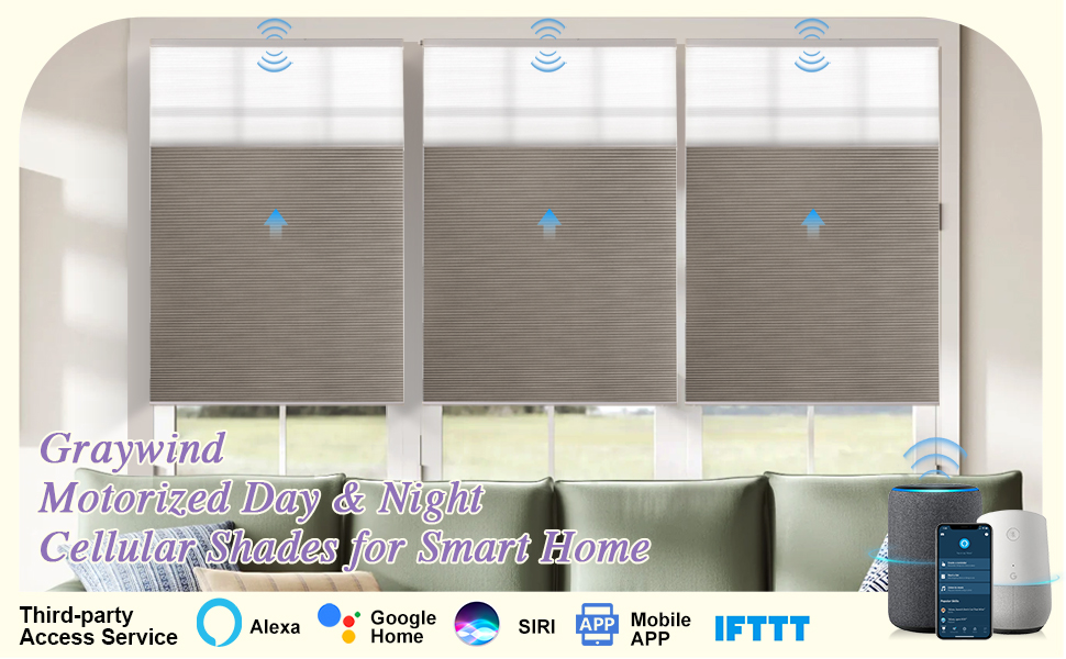 Amazon.com: Graywind Motorized Blackout Day Night Cellular Shades Compatible with Alexa Google ...