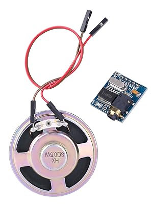 Amazon.com: Text to Speech Module SYN6288 Speech Synthesis with Real ...