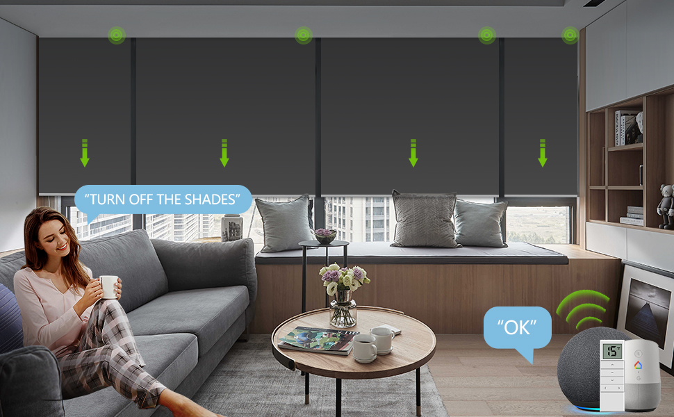 Amazon.com: Yoolax Motorized Blind Shade for Window with Remote Control Smart Blind Shade ...