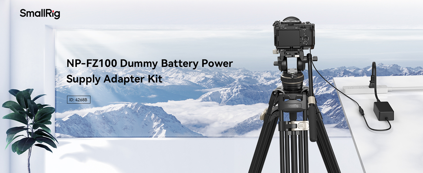 Amazon.com : SmallRig Dummy Battery Power Supply Adapter Kit for Sony NP-FZ100, for Sony FX3 ...