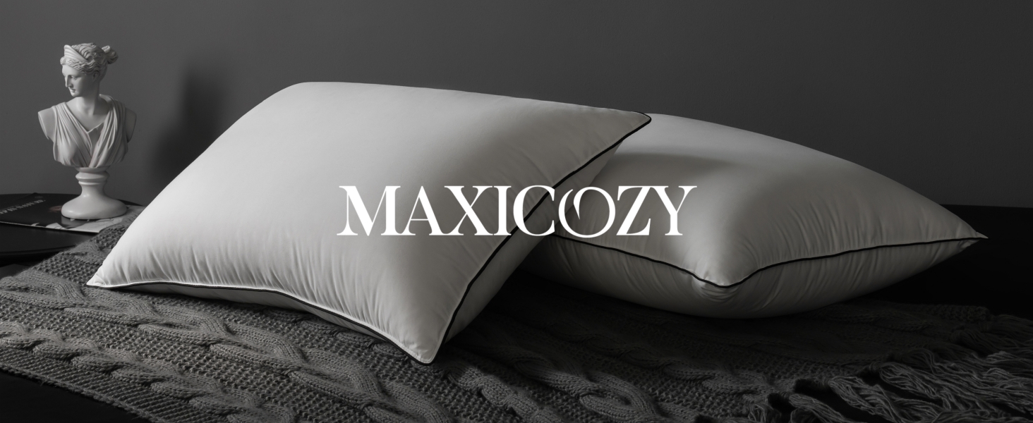 Amazon.com: MAXICOZY Luxury Goose Down Pillows Standard Size Set of 2 ...