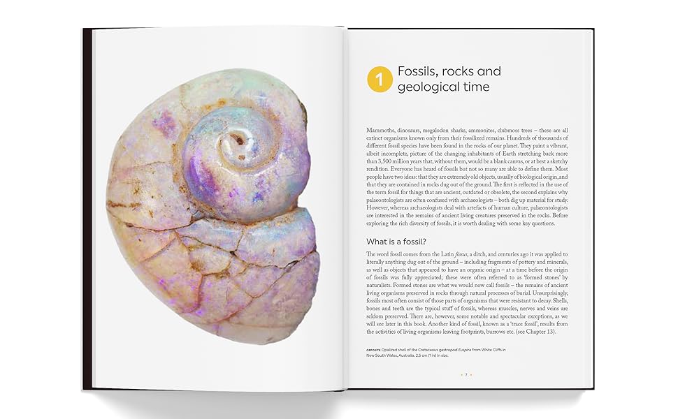 Fossils: The essential guide: Amazon.co.uk: Taylor, Paul D.: 9780565095635: Books