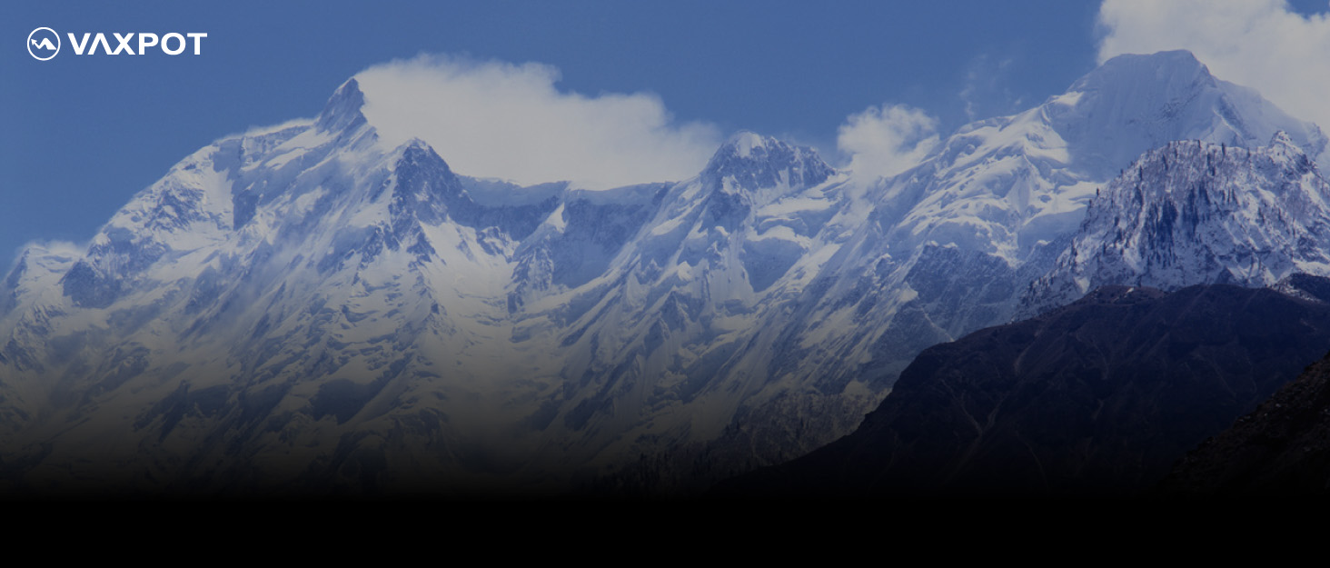 Amazon.co.jp: VAXPOT(バックスポット) スキーケース 145~180cmまで対応 【長さ調節機能 保護パッド入り】 VA-3290 BLK フリーサイズ : スポーツ＆アウトドア