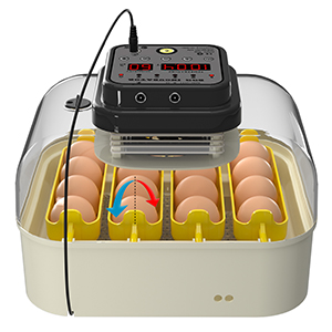 Amazon.com: Chalixion Incubators for Hatching Eggs, 16 Egg Incubator with Automatic Humidity ...