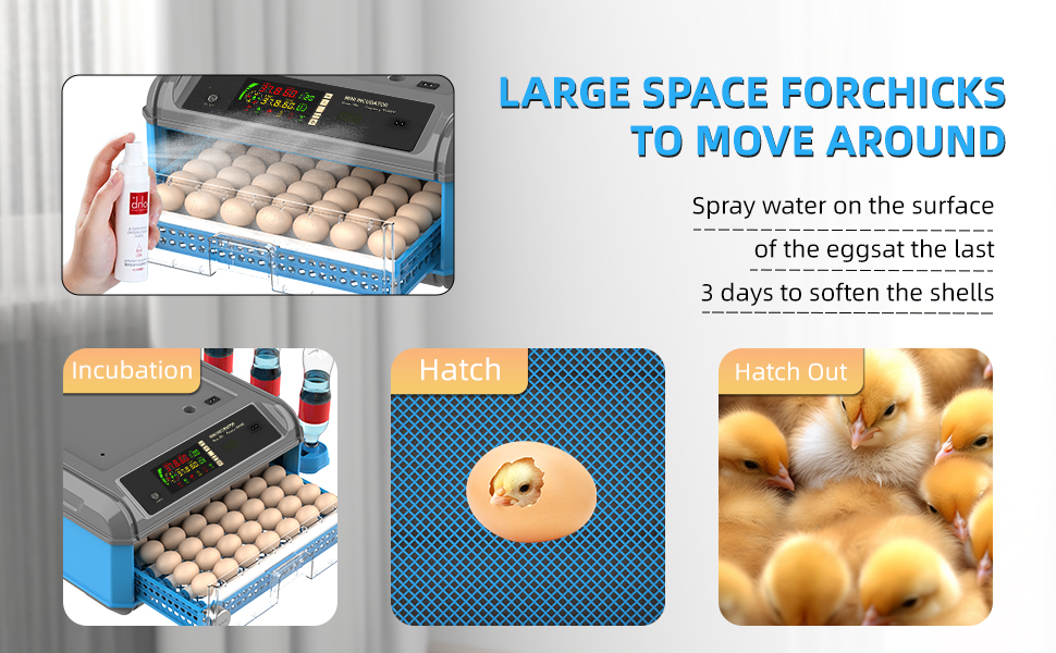 Amazon.com: Incubators for Hatching Eggs - 24 Egg Incubator with Automatic Egg Turning and ...