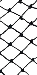 Amazon.com : Nylon Mesh Anti Bird Netting [50 X 50] ft for Fruit Trees Used as Chicken Netting ...