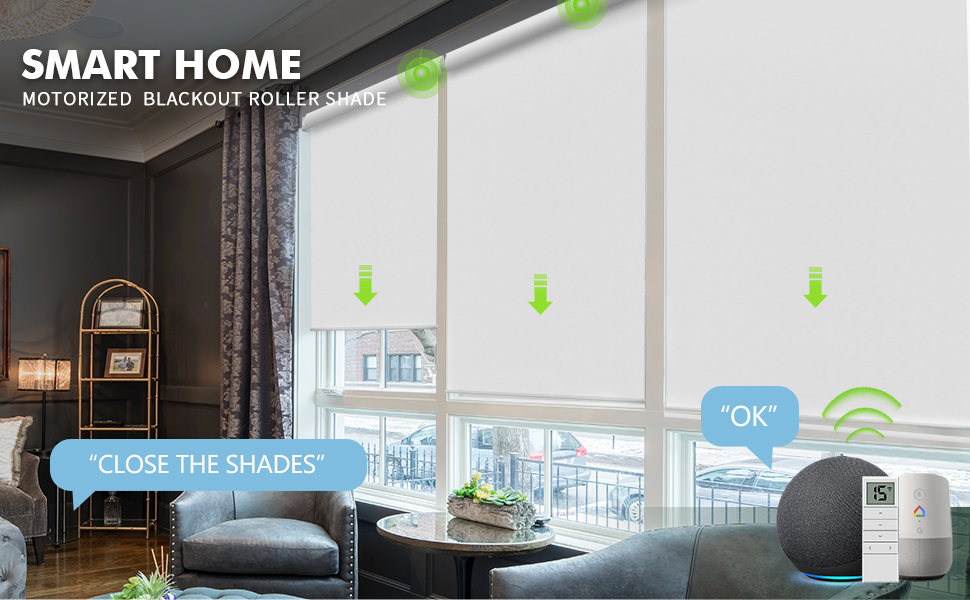 Amazon.com: Yoolax Motorized Blind for Window with Remote Control Smart Shade Compatible with ...