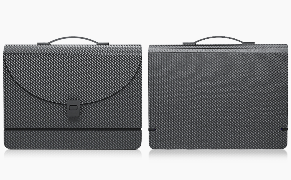 Amazon.com : Vanulee Accordion File Organizer/Expanding File Folder with Handle,13 Pockets ...