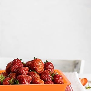 Amazon.com: LEXININ 21 Pack 7 Colors Plastic Art Trays, 10.8 x 8.3 Inch ...