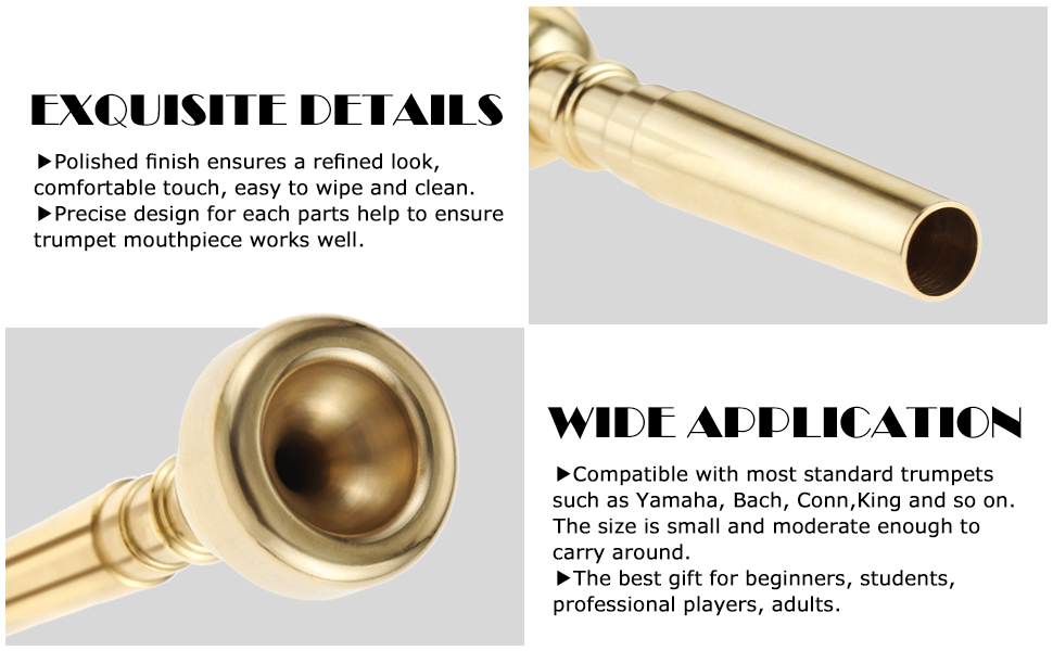 Amazon.com: 3 Pack Trumpet Mouthpiece 7C 5C 3C Trumpet Mouthpiece Set ...