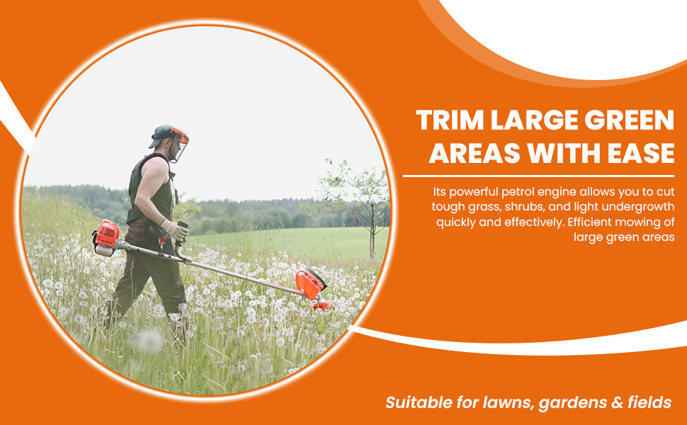 STIHL FS 3001 Petrol BRUSHCUTTER: EFFICIENT Mowing of Larger Green Areas : Amazon.in: Garden ...