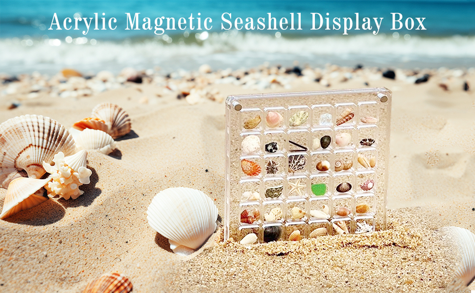 Amazon.com: Acrylic Magnetic Seashell Display Box - Seashell Storage Box Display Case Decorative ...