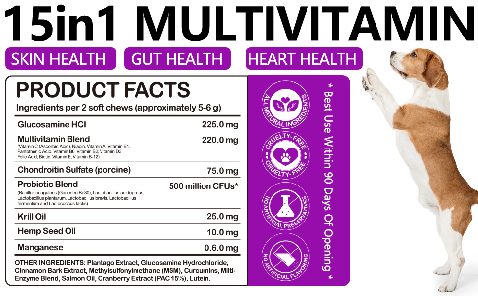 Amazon.com : 15 in 1 Dog Multivitamin, 150 Chews Dog Vitamins and Supplements, for Joint Support ...