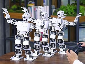 Amazon.com: HIWONDER AI Intelligent Visual Humanoid Robot for Raspberry ...