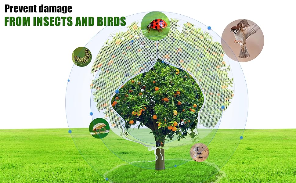 Amazon.com : 10'x10' Large Fruit Tree Netting Cover for Squirrels and Birds with Zipper, Fruit ...