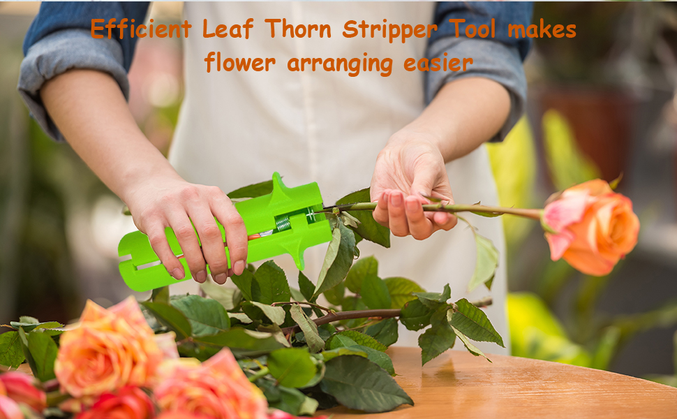 Amazon.com: HSFOOYL 2pcs Rose Thorn Remover, Roses Leaf Stripper Tool,Painless Rose Stem ...