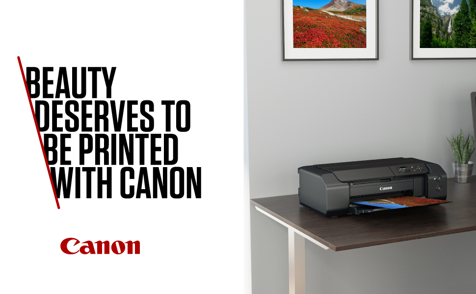 Canon PIXMA PRO-200 A3 Plus Colour Photo Wireless Printer : Buy Online at Best Price in KSA ...
