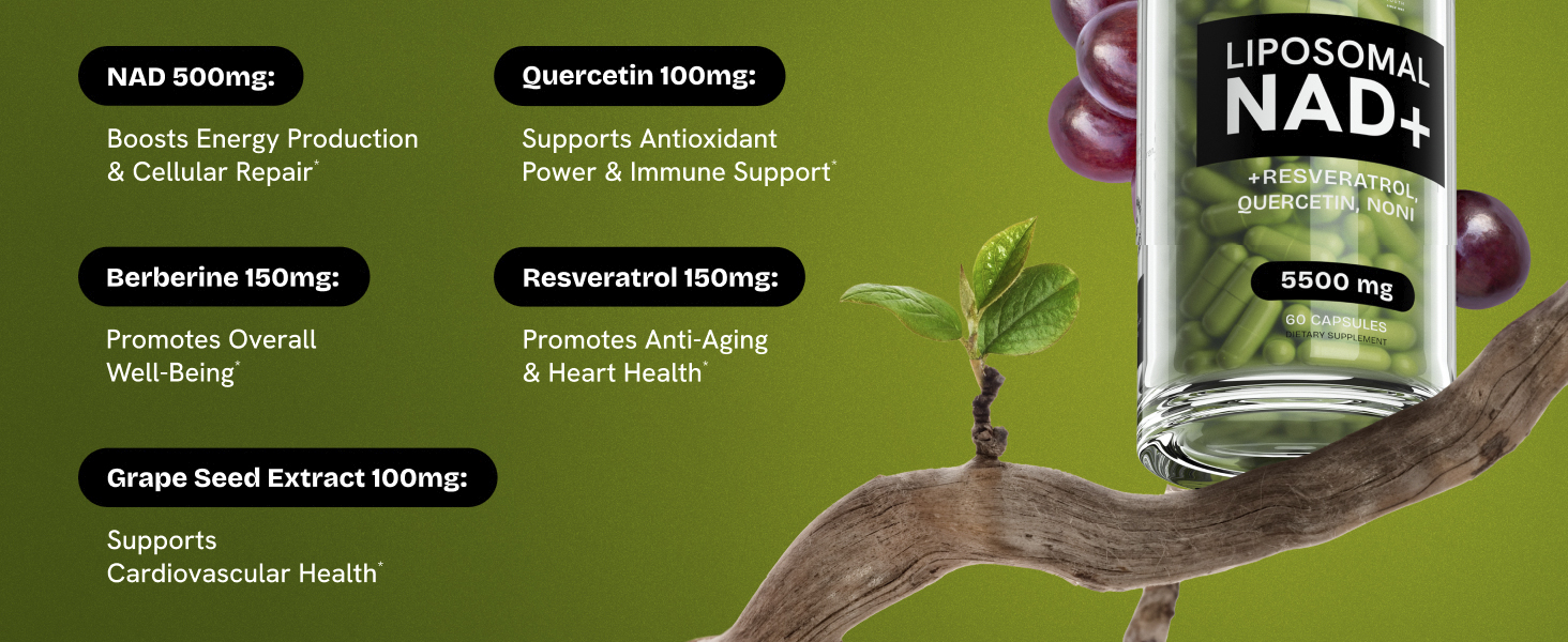 Amazon.com: Resurrected Health NMN Supplement Alternative - High Absorption NAD, Resveratrol ...