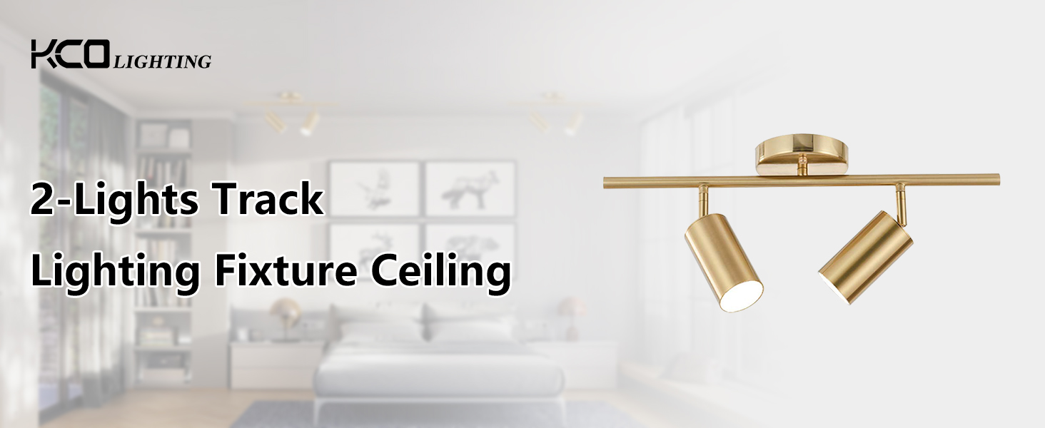 KCO Lighting Modern 2-Light Gold Track Lighting Fixture Flush Mount Brushed Brass Track Lights ...