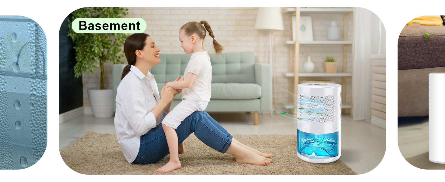 Amazon.com - Gocheer Dehumidifiers for Home for Room,800 sq ft Dehumidifier with Drain Hose for ...