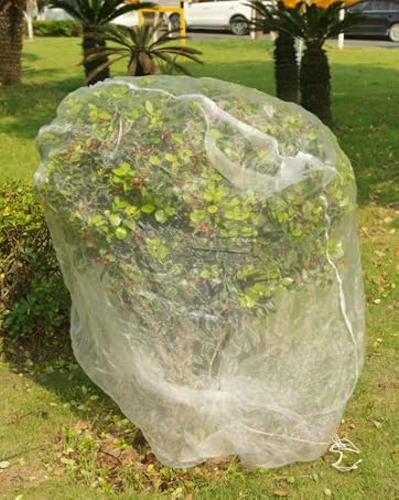 Amazon.com : 2 PCS Large Fruits Tree Netting Cover for Garden, 6.6 x 8.2 ft Insect Bird Barrier ...