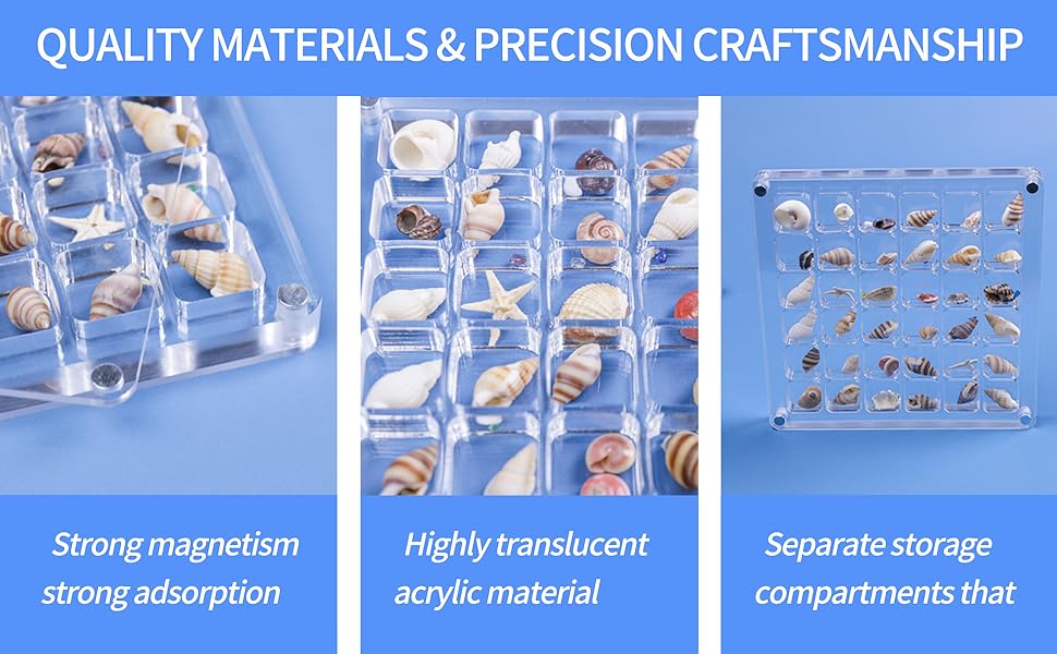 Amazon.com: BLVB Acrylic Magnetic Seashell Display Box, 36 Grids Small Craft Organizers ...