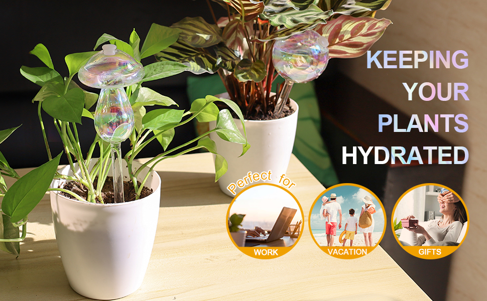 Amazon.com: KiKiHeim 4 Pcs Plant Watering Globes, Top Fill Self Watering Planter Insert Spikes ...