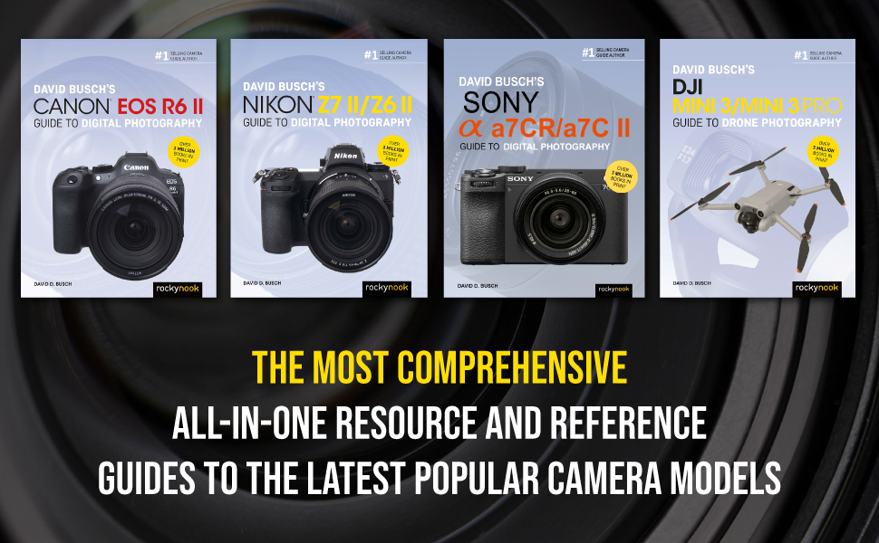 David Busch's Canon EOS R6 Guide to Digital Photography (The David Busch Camera Guide) (The ...