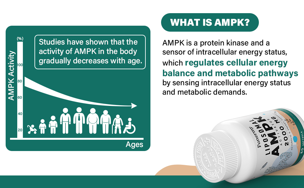 Amazon.com: Liposomal AMPK Activator 2000 mg - High Bioavailability Berberine HCL,DIM,Milk ...